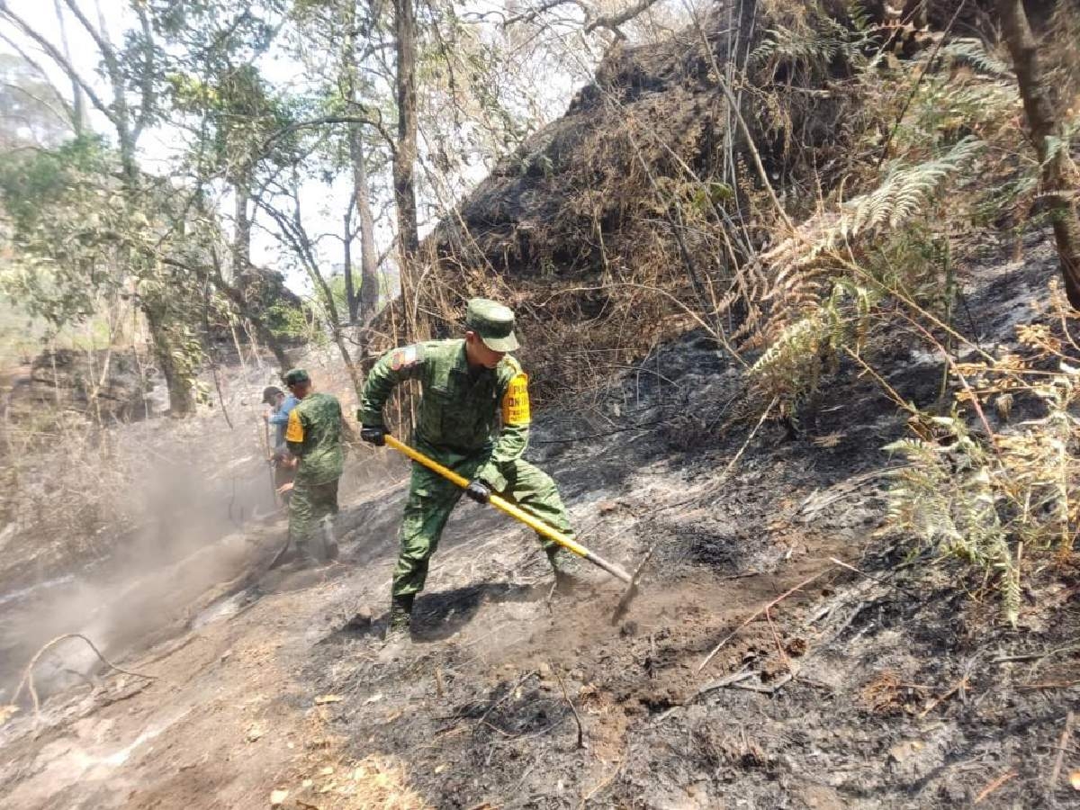 Ejército y Guardia Nacional combaten incendio en Amatlán